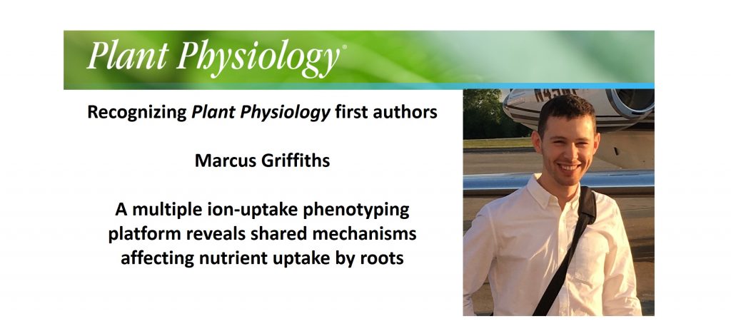 Recognizing Plant Physiology authors: Marcus Griffiths | Plantae