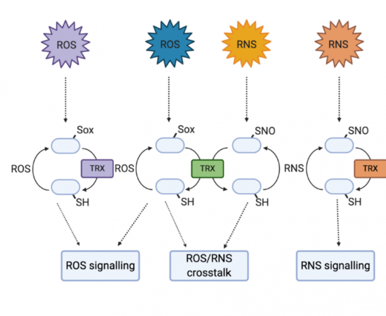 Plant Science Research Weekly: January 29, 2021 | Plantae