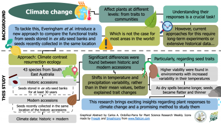 Time travelling seeds reveal that plant regeneration and growth traits ...