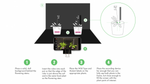 Introducing Plant Tracer: A project led by Eric Brenner at Pace ...