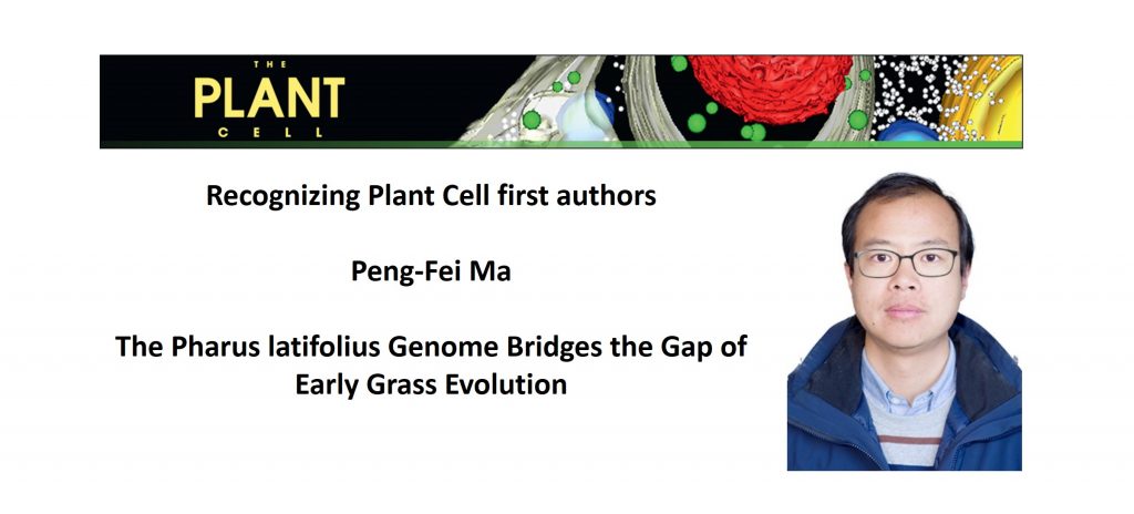 Recognizing Plant Cell authors: Peng-Fei Ma | Plantae