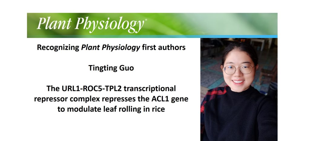 Recognizing Plant Physiology authors: Tingting Guo | Plantae