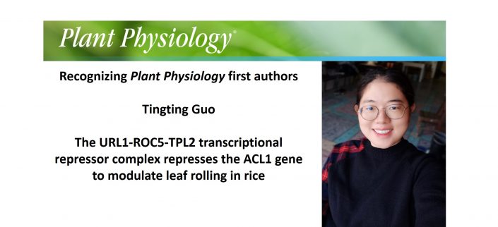Recognizing Plant Physiology authors: Tingting Guo | Plantae