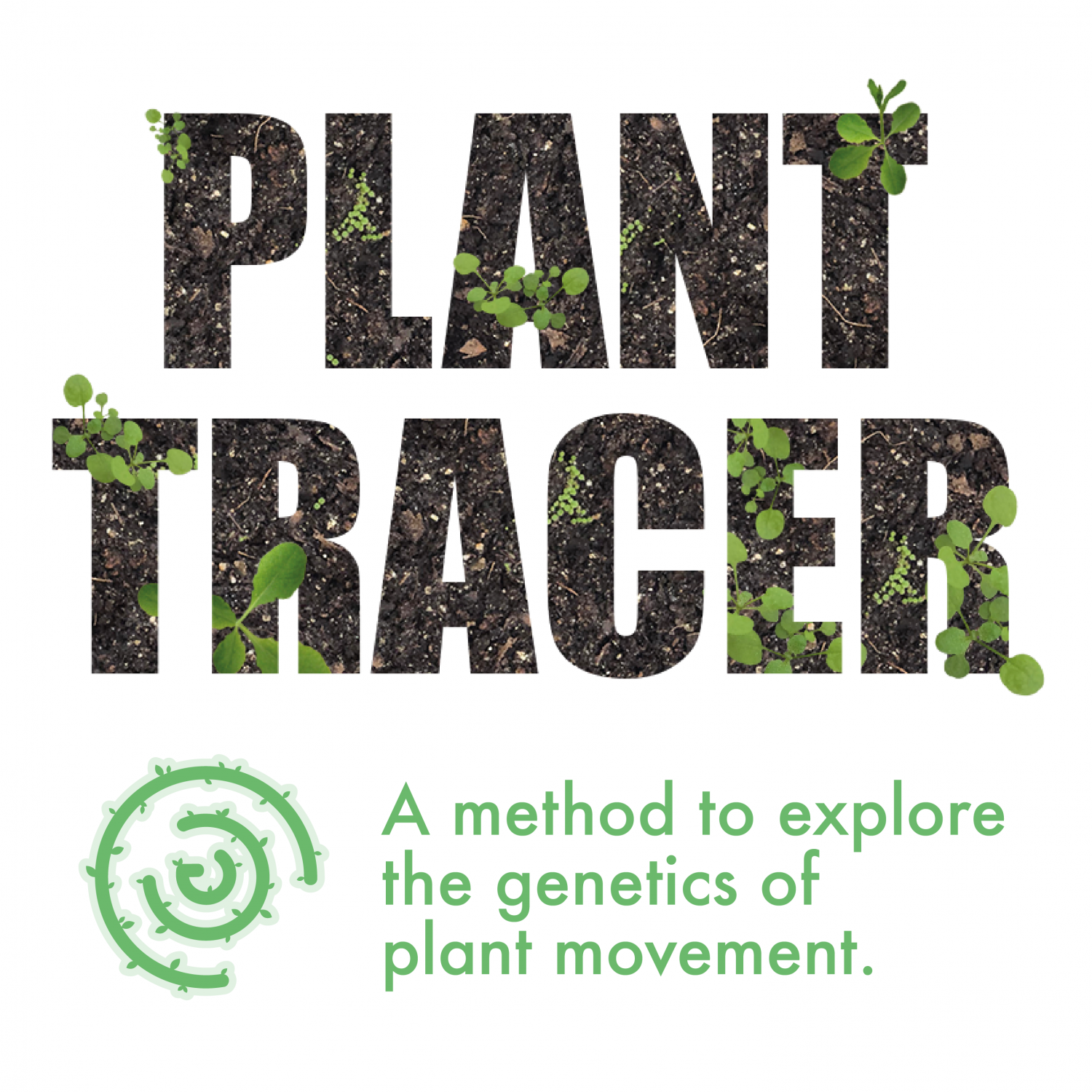 What We’re Reading: October 12 | Plantae