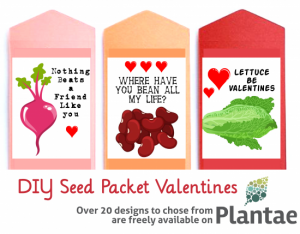 DIY Seed Packet Valentines | Plantae