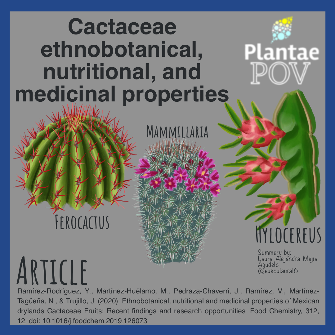 Plant point of view: Cactaceae | Plantae