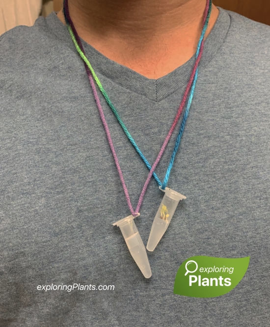 Test Tube Seed Necklace - Easy Wearable Outreach | Plantae