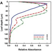 Review: Perspectives on improving light distribution and light use ...