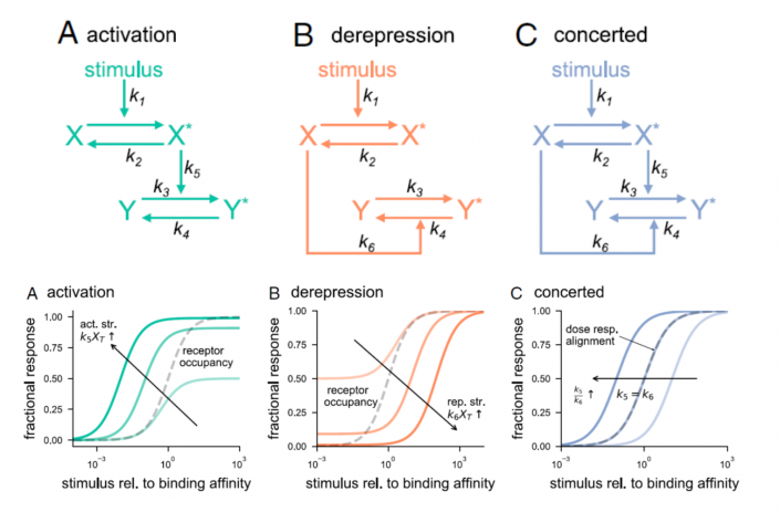 Molecular switch architecture determines response properties of ...
