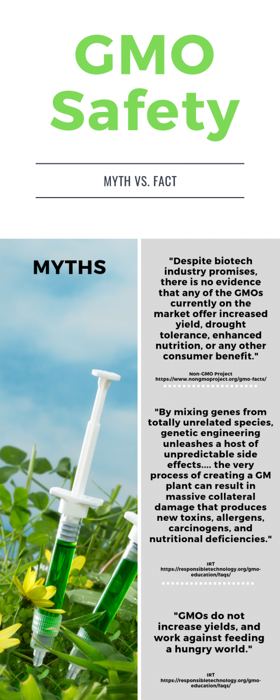 Infographics describing GMO safety | Plantae