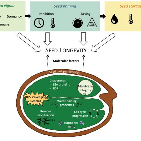 Plantae | Plant Science Research Weekly | Plantae