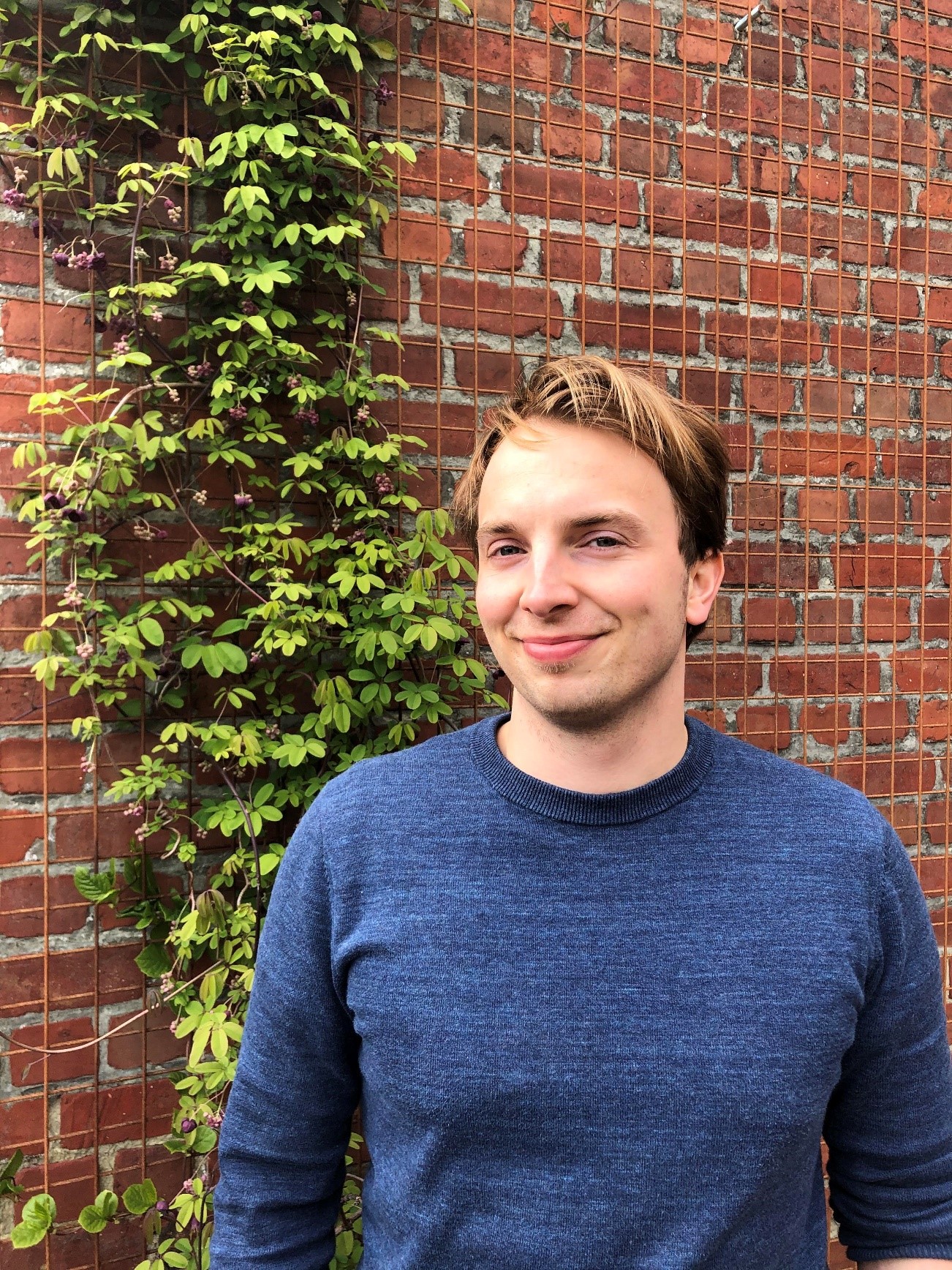 Recognizing Plant Physiology author Simon Strobbe | Plantae