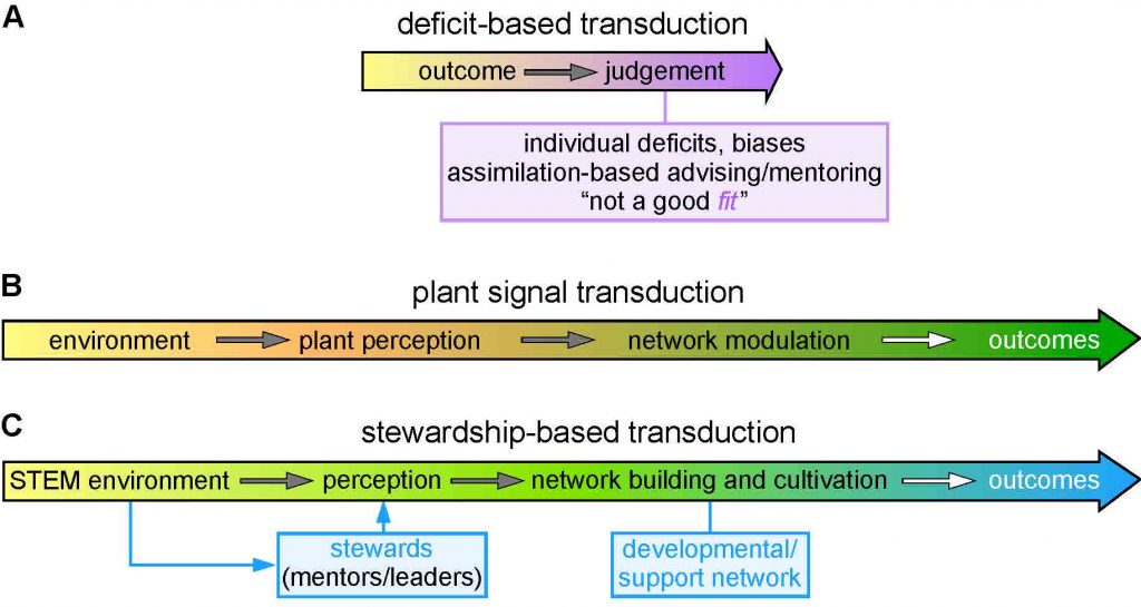 Letter to the editor: Planting equity: Using what we know to cultivate ...