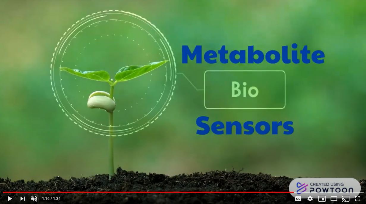 Metabolite Biosensors | Plantae