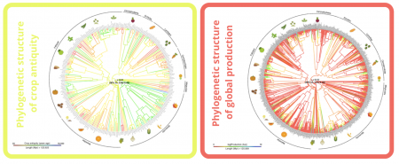 Crop origins explain variation in global agricultural relevance (Nature ...