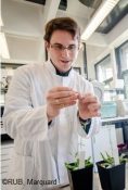 Dietmar Gerald Mehlhorn: Plant Physiology First Author | Plantae