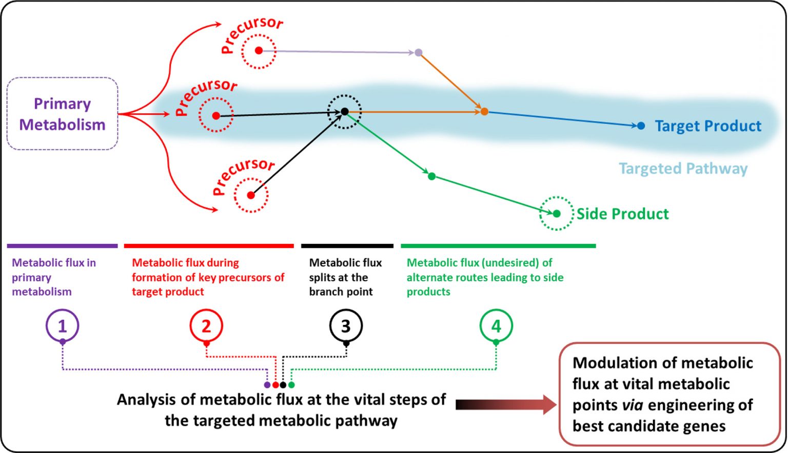 Review. Plant synthetic biology for producing potent phyto ...