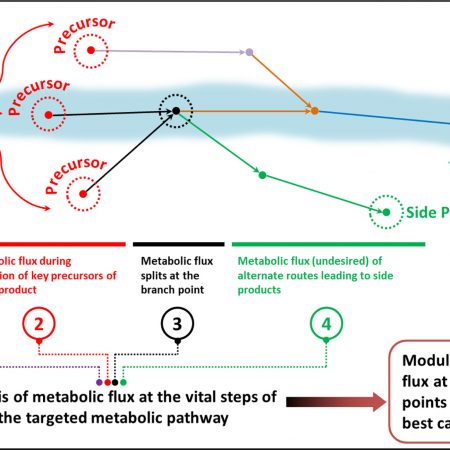 Plantae | Synthetic Biology | Plantae