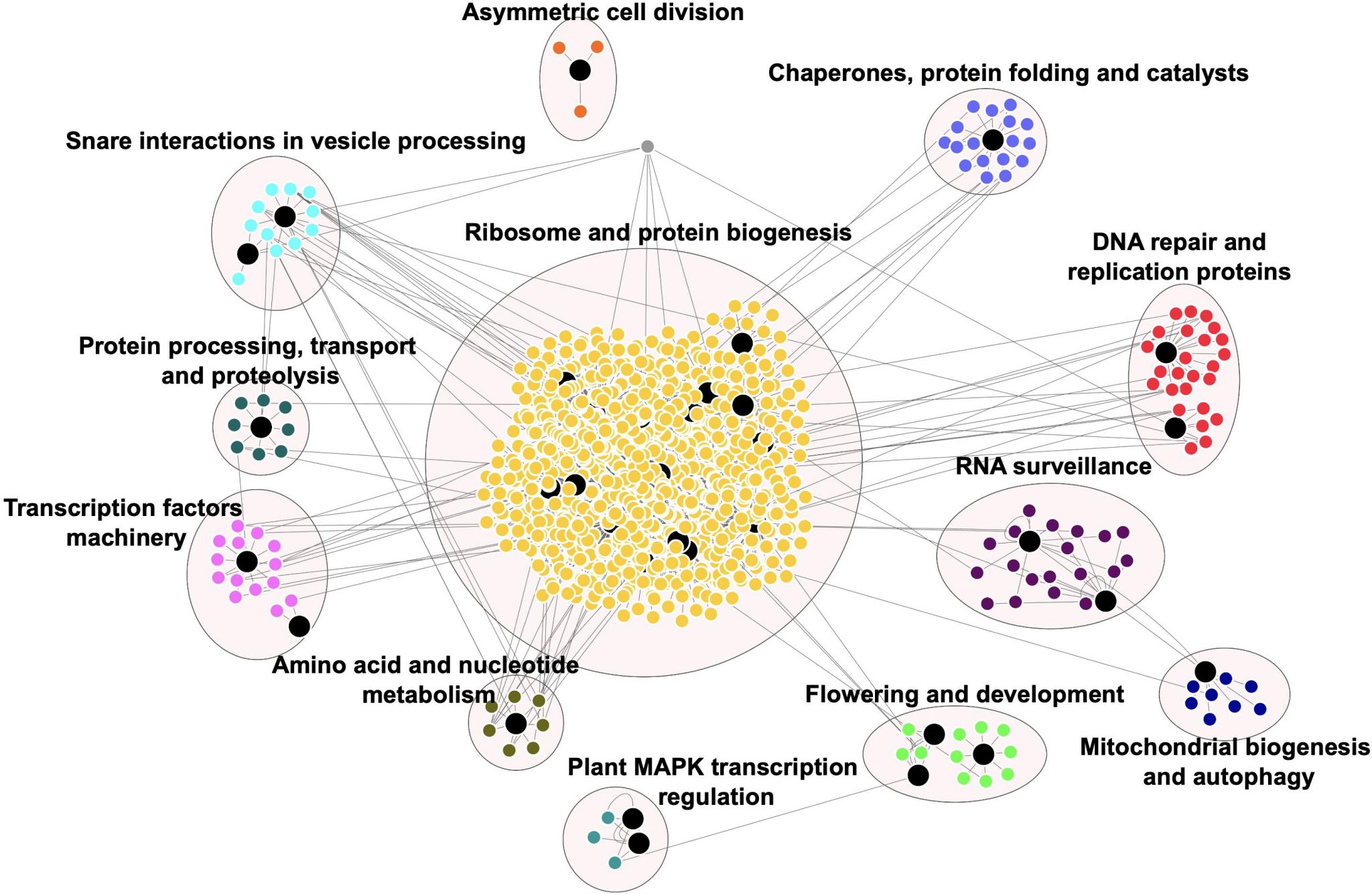 Complex networks of prion-like proteins reveal cross talk between ...