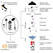 Plant scientists’ research attention is skewed towards colourful ...