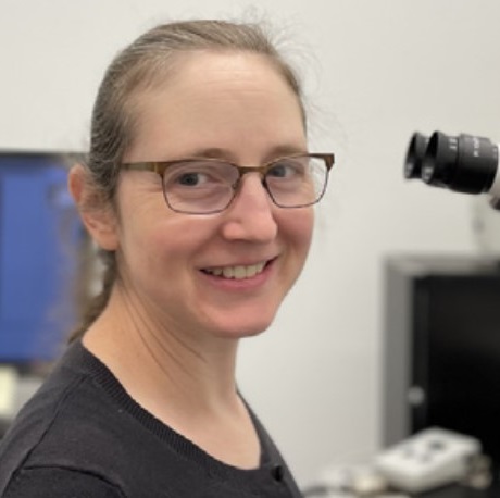 Plant Cell Webinar: Highlighting Plant Cell Focus Issue on Cell Biology ...