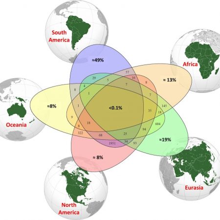 Plantae | Functional traits and phenotypic plasticity modulate species ...