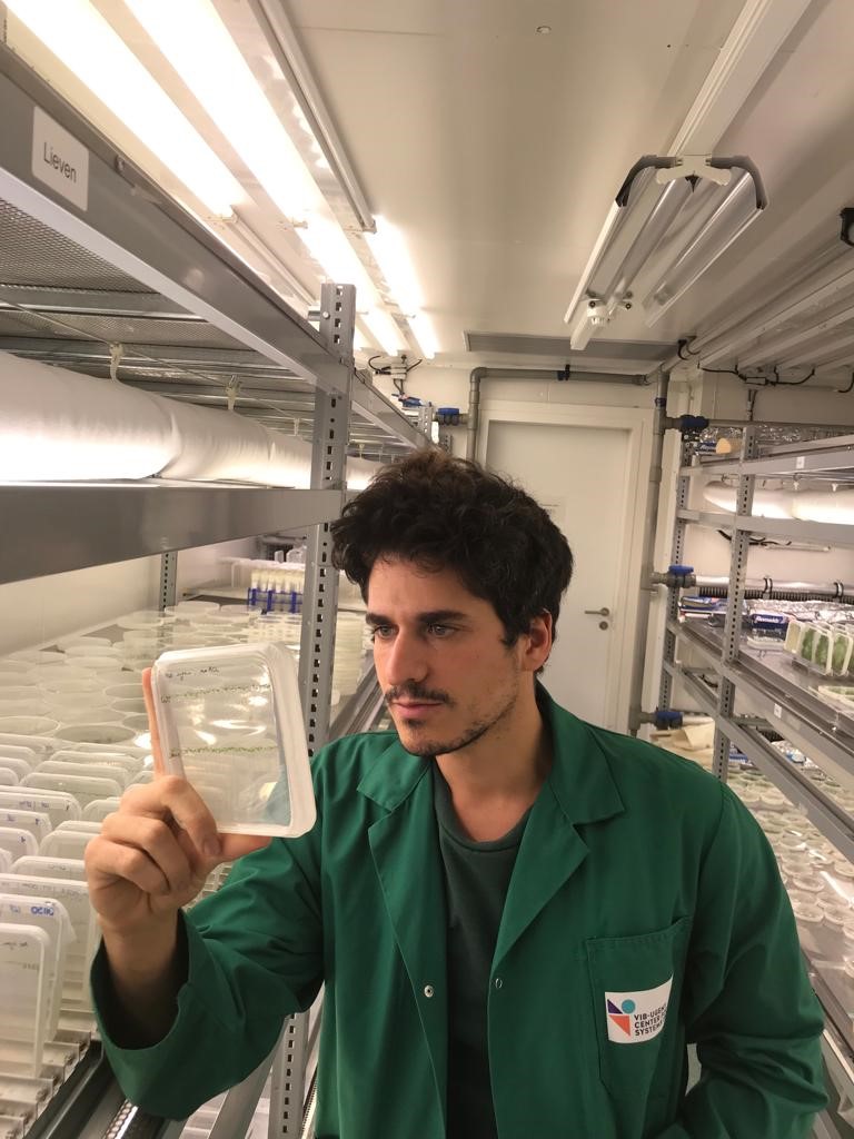 Rubén Tenorio Berrío: Plant Physiology First Author | Plantae