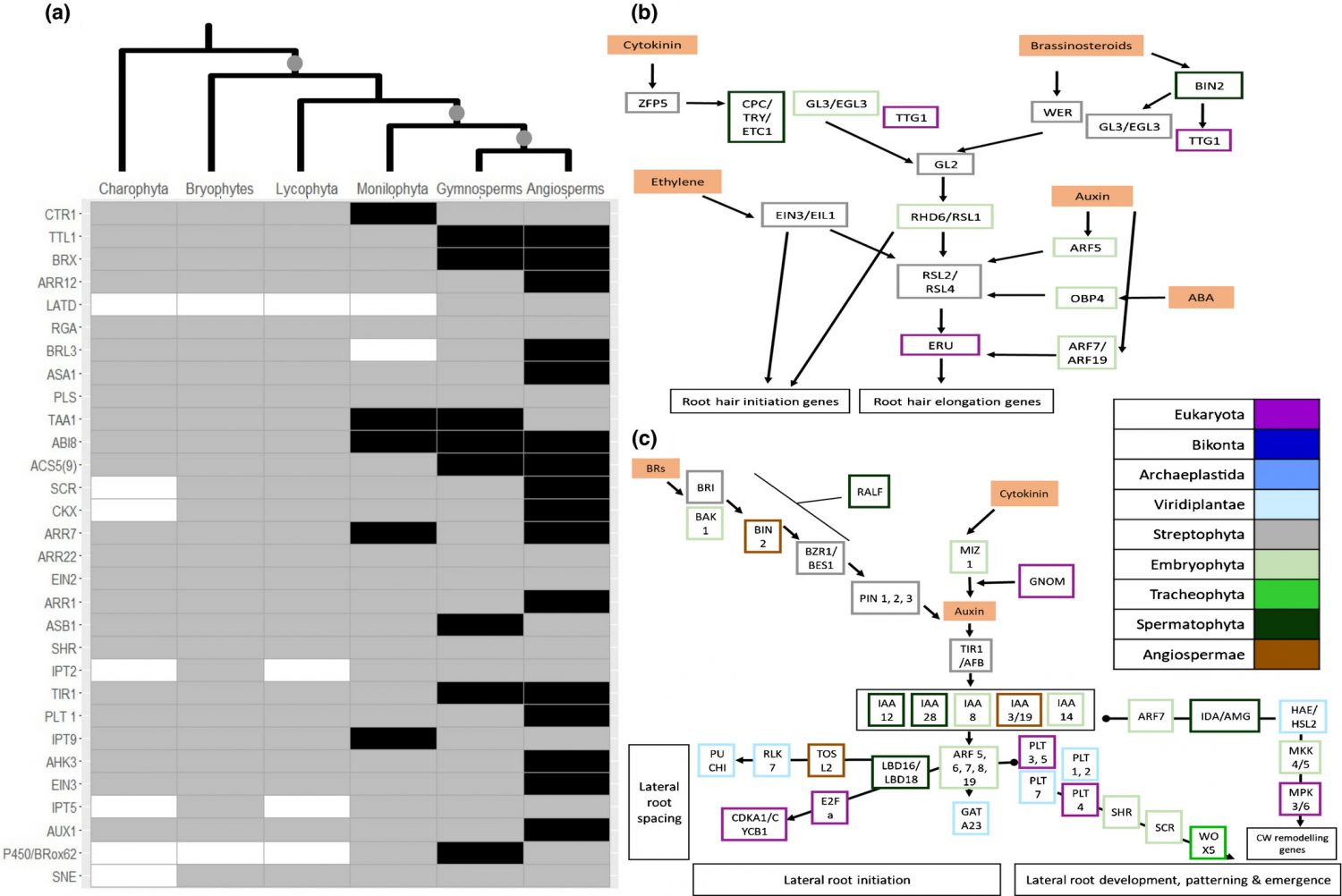 Plant Science Research Weekly: March 4, 2022 | Plantae