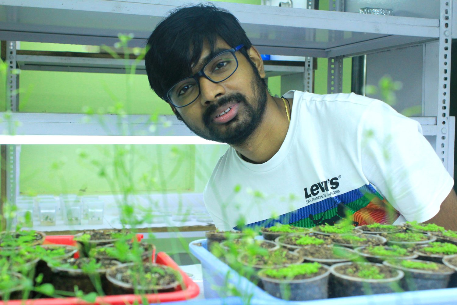 Ashish Sharma: Plant Physiology First Author | Plantae
