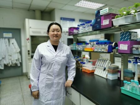 Yang Yang: The Plant Cell First Author | Plantae