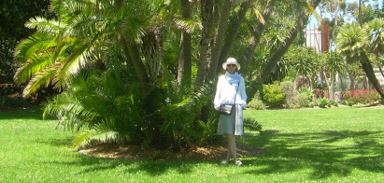 Magdalena Szechyńska-Hebda: The Plant Cell First Author | Plantae