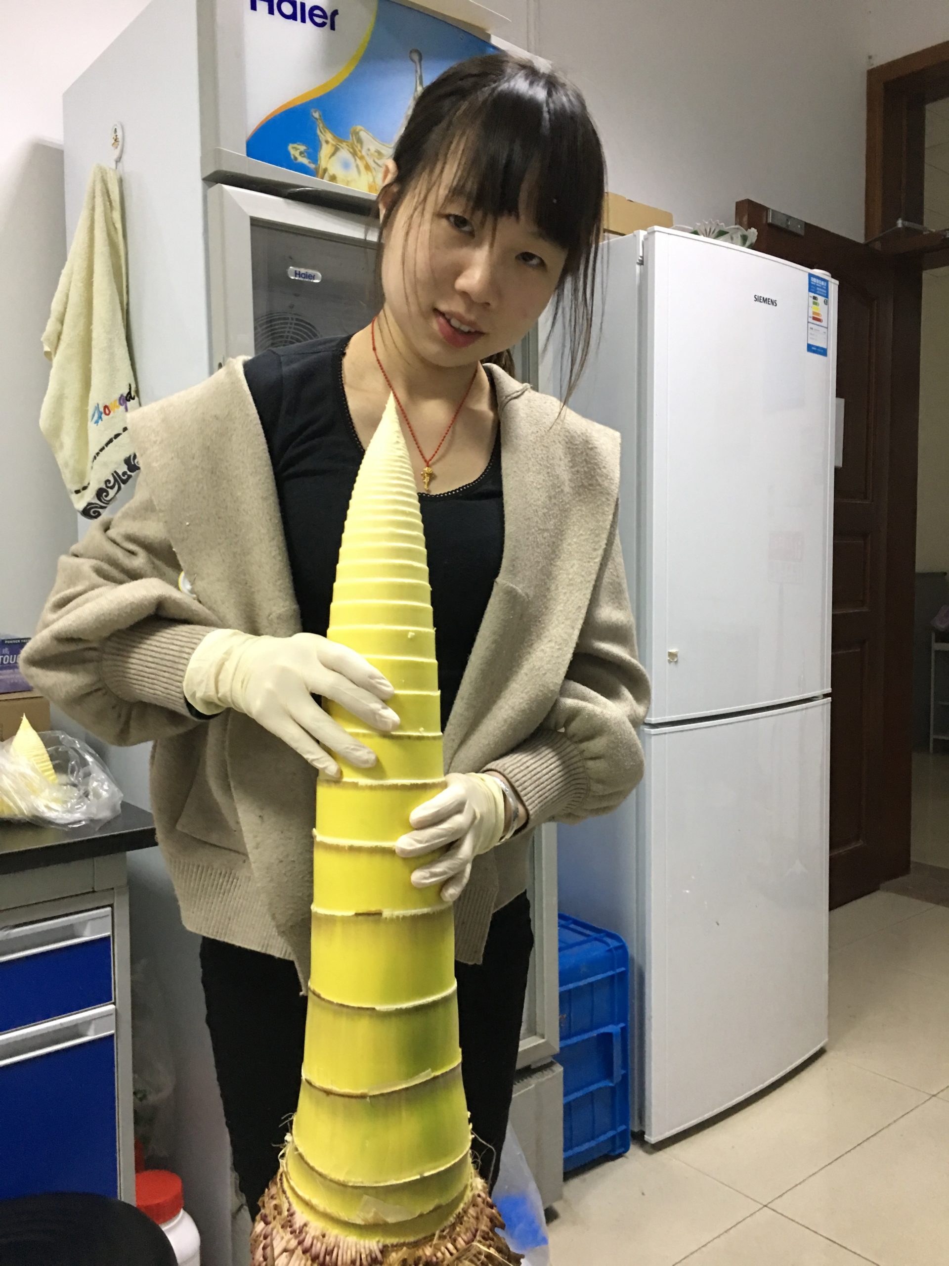 Ming Chen: The Plant Cell First Author | Plantae