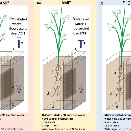 Plantae | Plant Science Research Weekly | Plantae