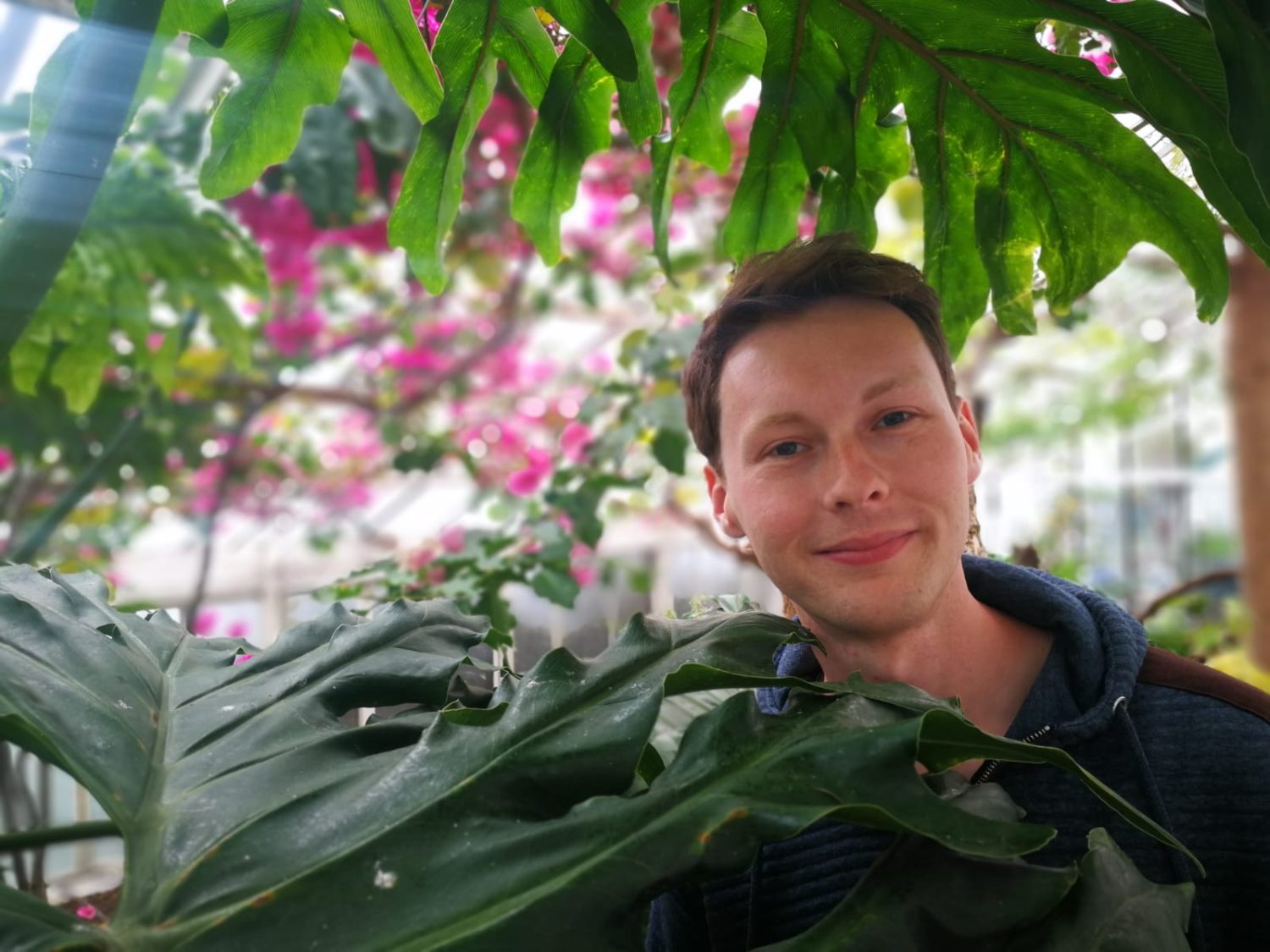 Andrew Fife Galloway: Plant Physiology First Author | Plantae