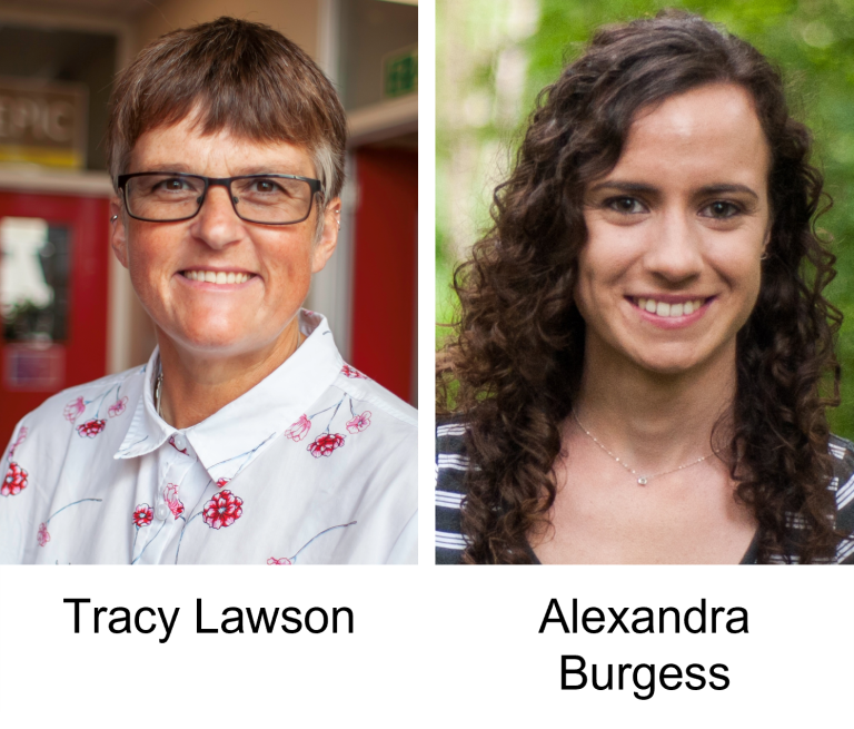 Motivated by Passion: An Interview with Plant Physiology Monitoring ...