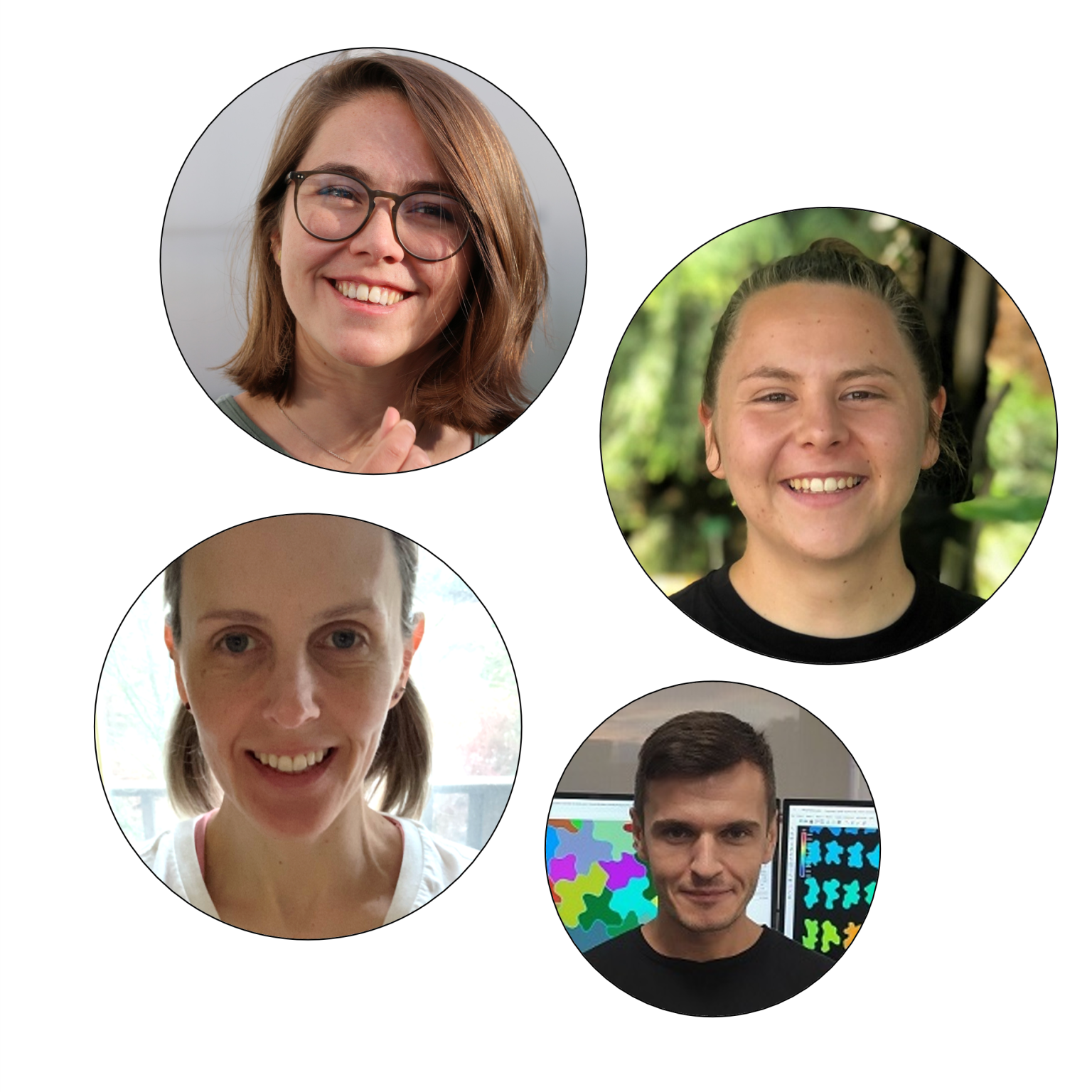 Plantae | Plantae Blog | Plantae