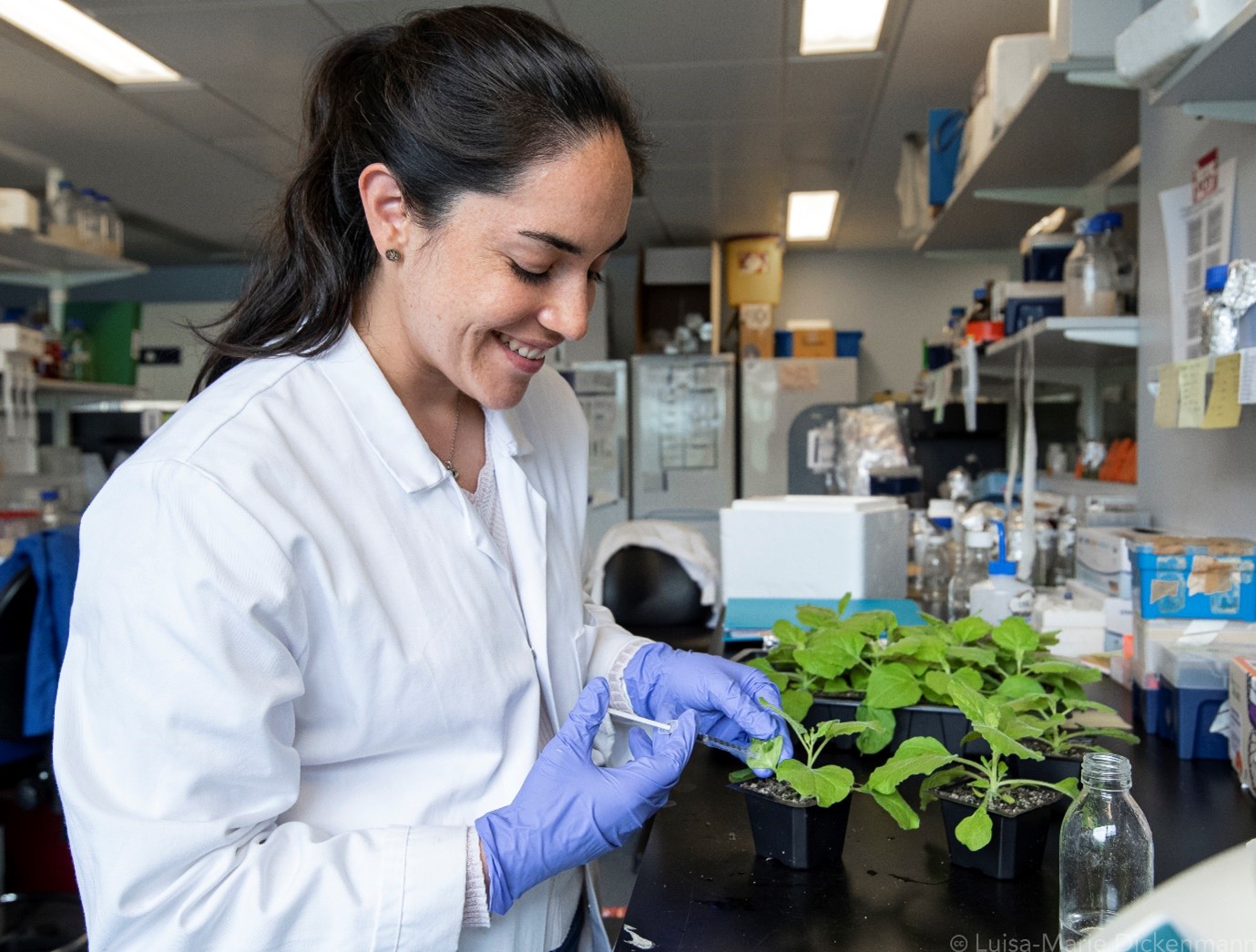 Aranzazú Díaz-Ramos: Plant Physiology First Author | Plantae