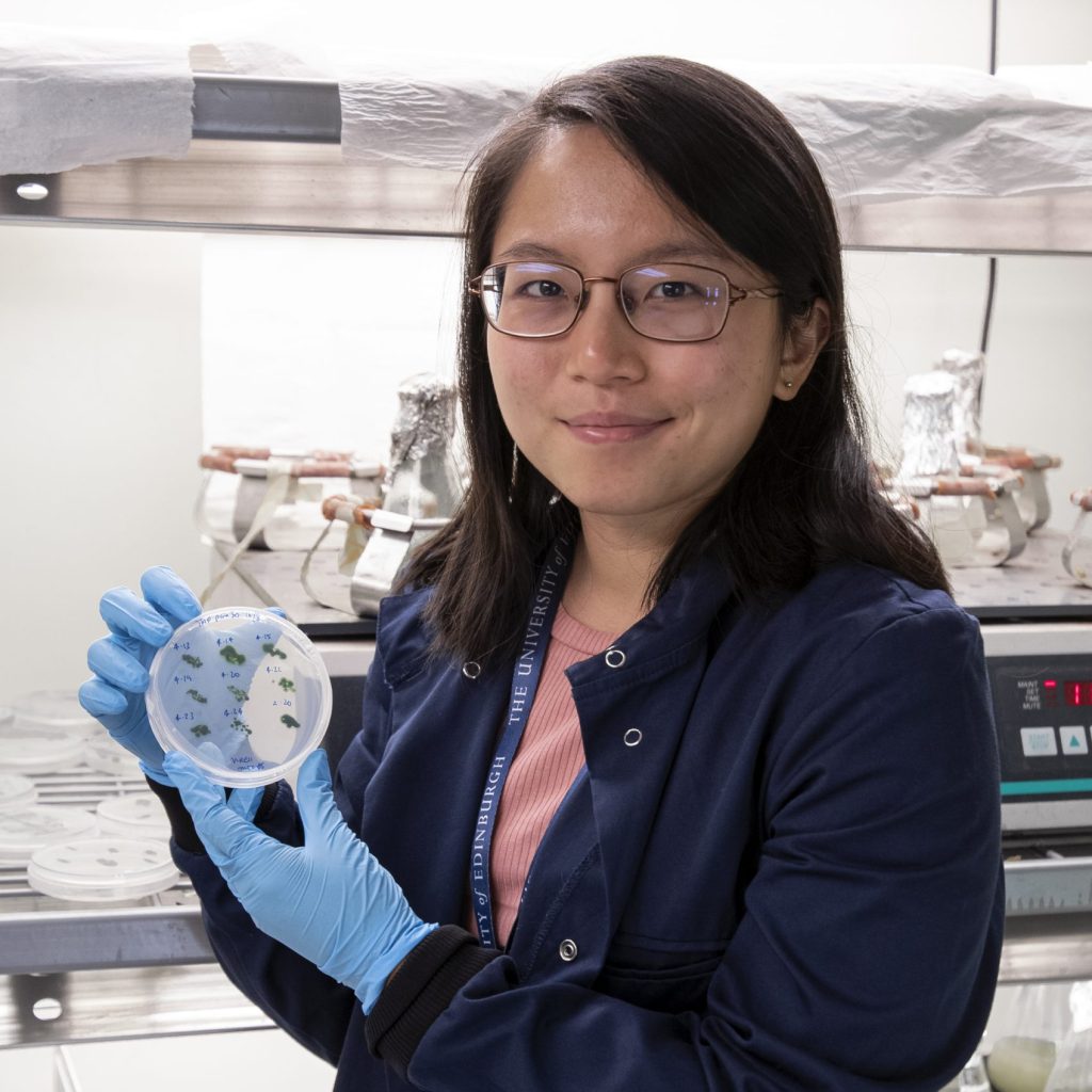 Announcing the 2023 ASPB Plantae Fellows | Plantae