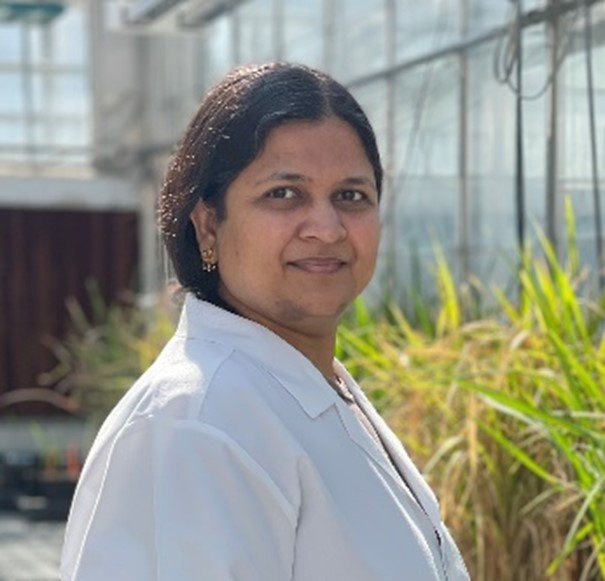 Bhuvan Pathak: Plant Direct First Author | Plantae