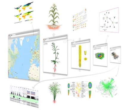 Update: Toward a data infrastructure for the Plant Cell Atlas (Plant ...