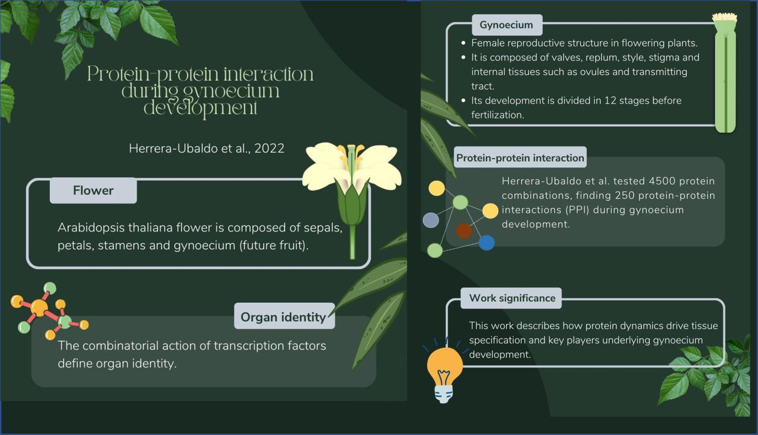 Plant Science Research Weekly: October 21, 2022 | Plantae