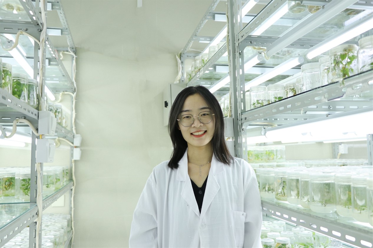 Xiaoru Gao: Plant Physiology First Author | Plantae
