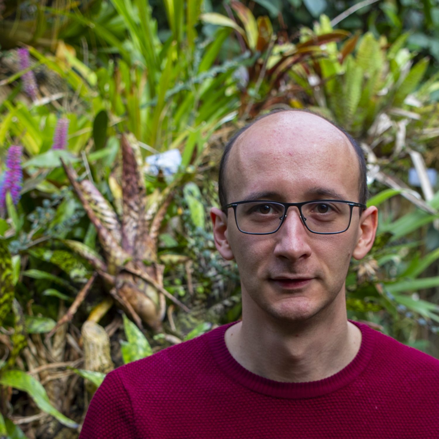 Gabriel DESLANDES-HÉROLD: The Plant Cell First Author | Plantae