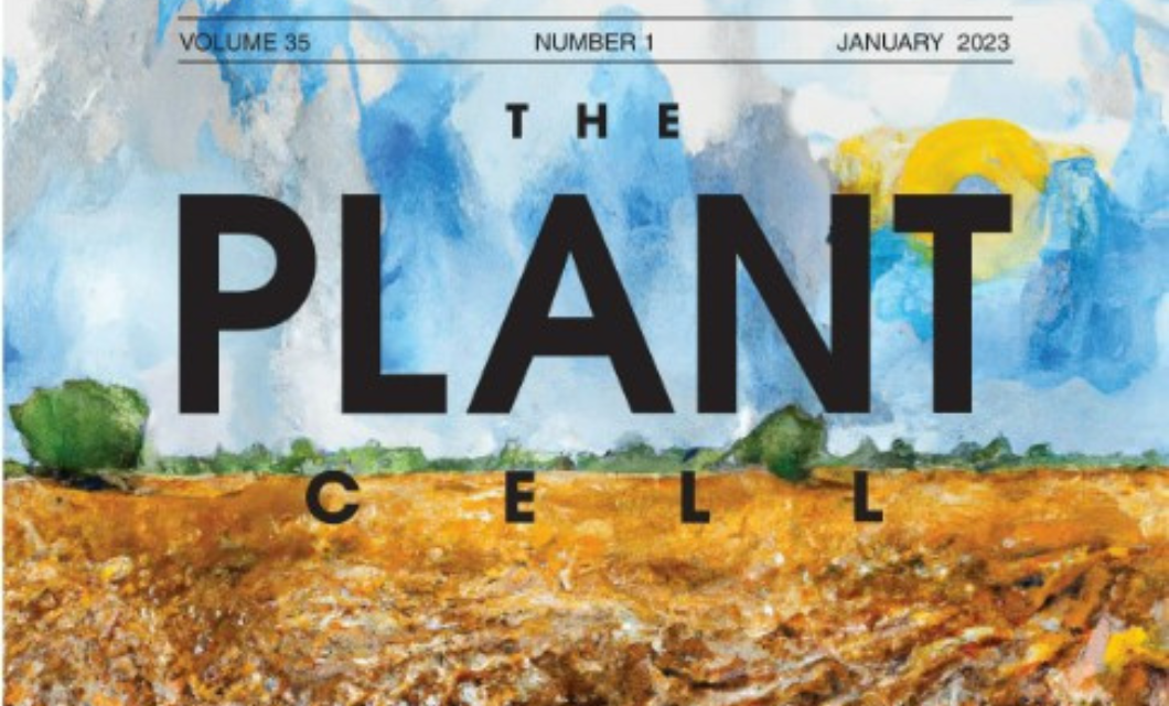 The Plant Cell’s Cover Image Continues Global Conversation Over AI ...