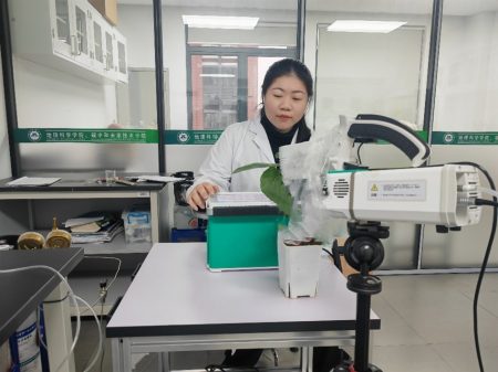 Yanran Sun: Plant Physiology First Author | Plantae