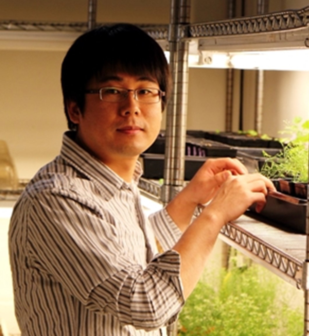 Daewon Kim: The Plant Cell First Author | Plantae