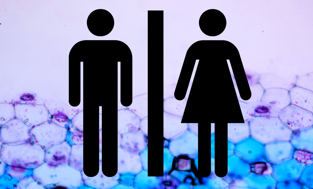 Gender Bias in Science | Plantae