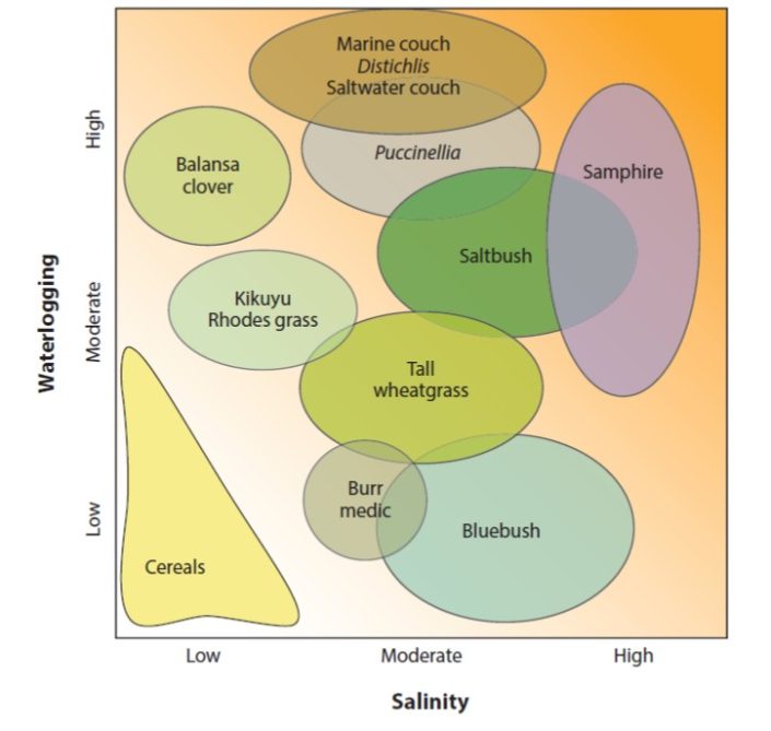 Review: Salt-tolerant crops: Time to deliver | Plantae