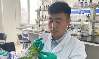 Yanbin Yin: Plant Physiology First Author | Plantae