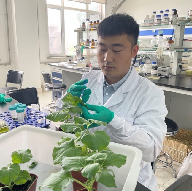 Yanbin Yin: Plant Physiology First Author | Plantae